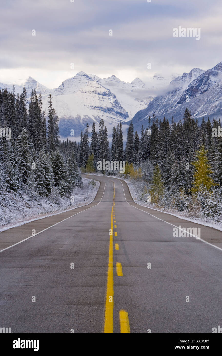 The Icefields Parkway between Banff & Jasper in Banff-Jasper National ...