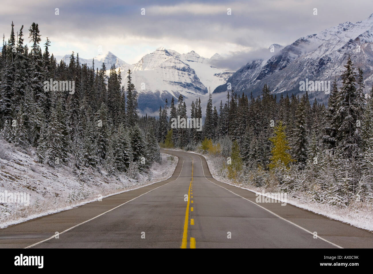 The Icefields Parkway between Banff & Jasper in Banff-Jasper National ...
