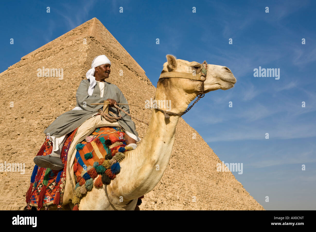 Egyptian camel driver hi-res stock photography and images - Alamy