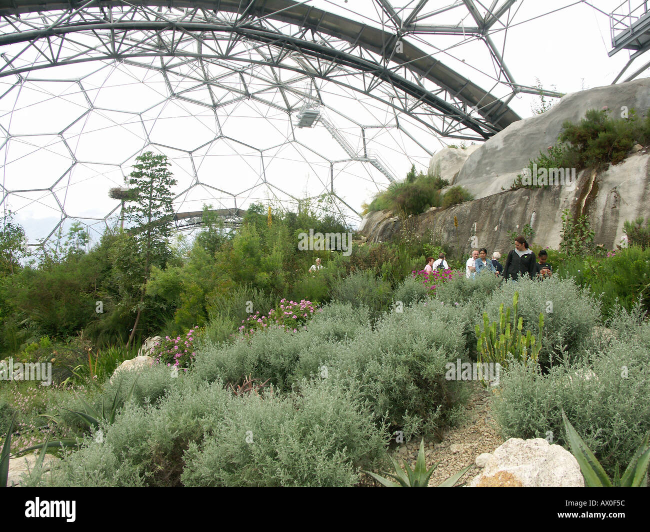 Eden Project Interior Cornwall Stock Photo - Alamy