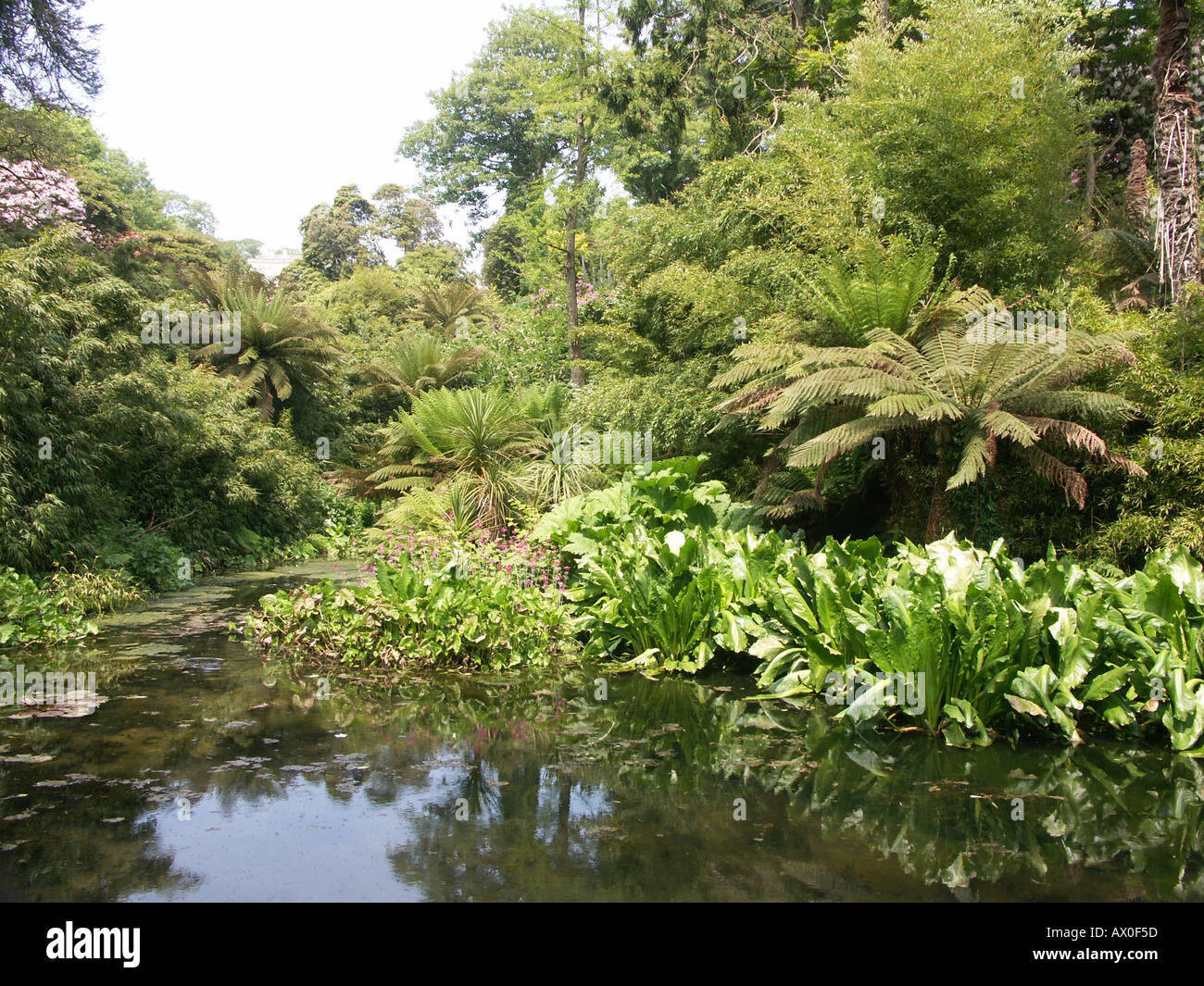 Heligan Gardens Cornwall Stock Photo - Alamy
