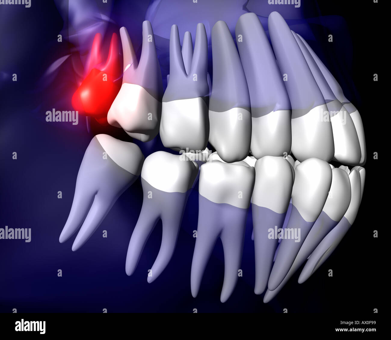 The third tooth hi-res stock photography and images - Alamy