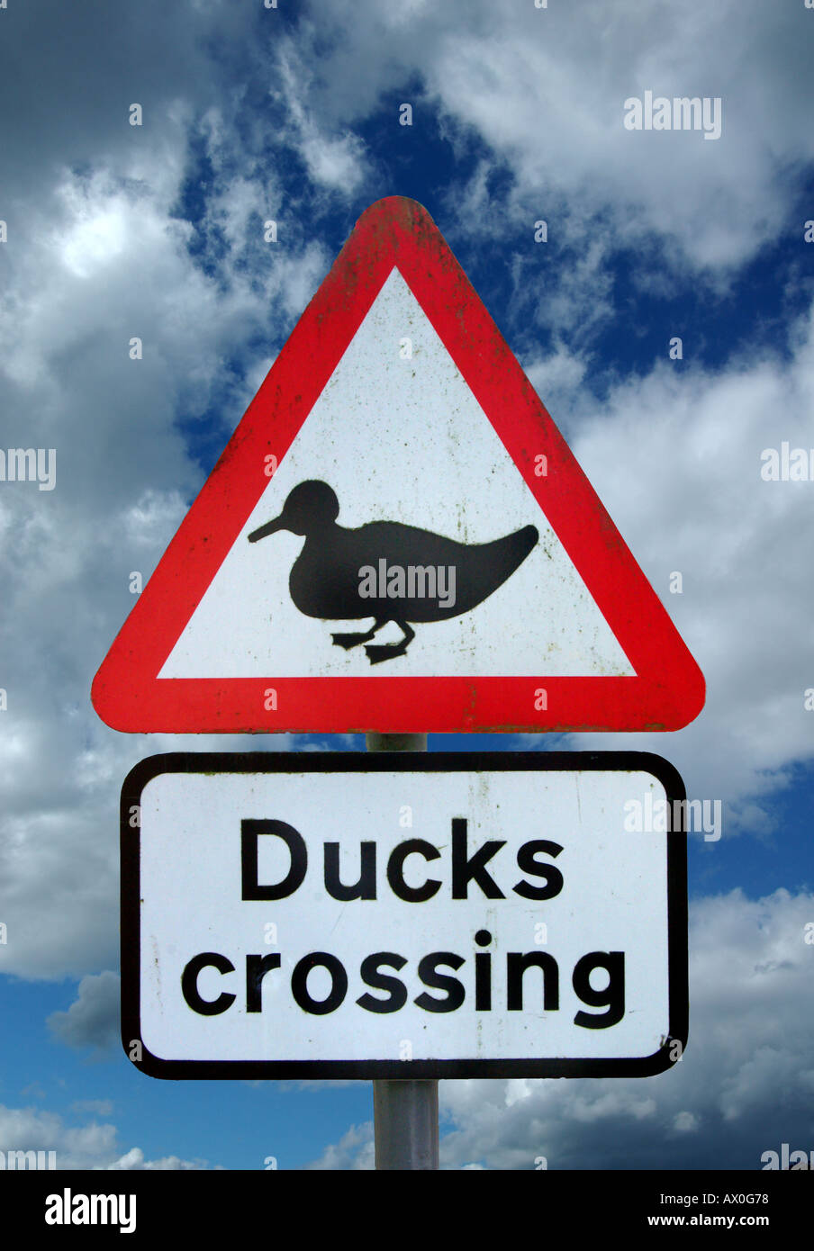 Animal safety ducks birds sign hi-res stock photography and images - Alamy