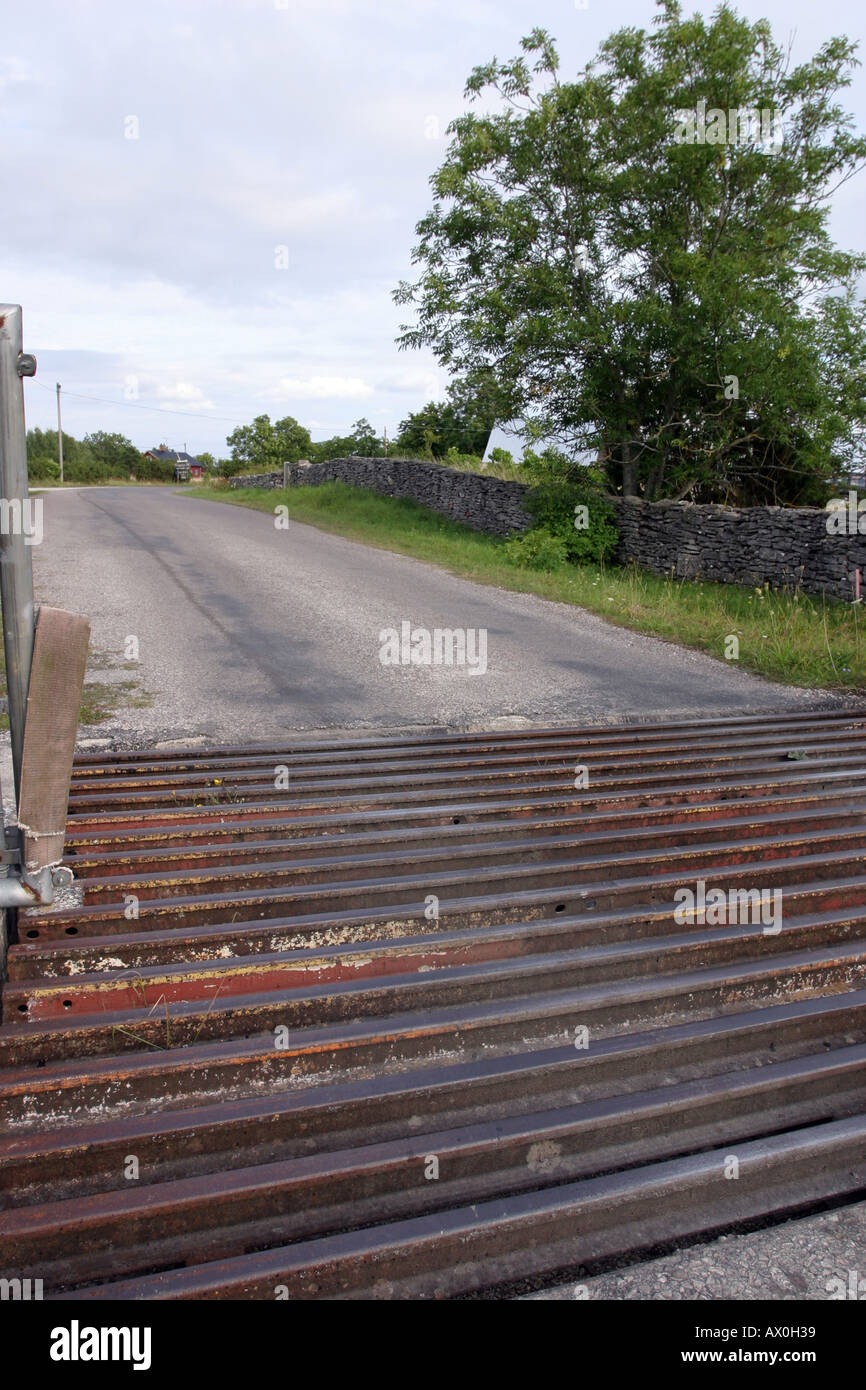 Cattle grid rails across the road to stop sheep from walking this way ...