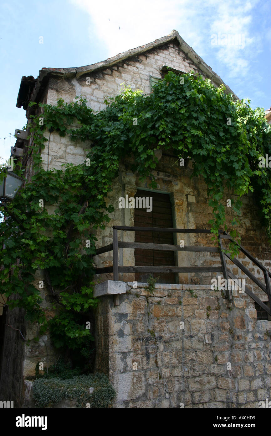 Cyprus village stone house with vine plant Stock Photo - Alamy