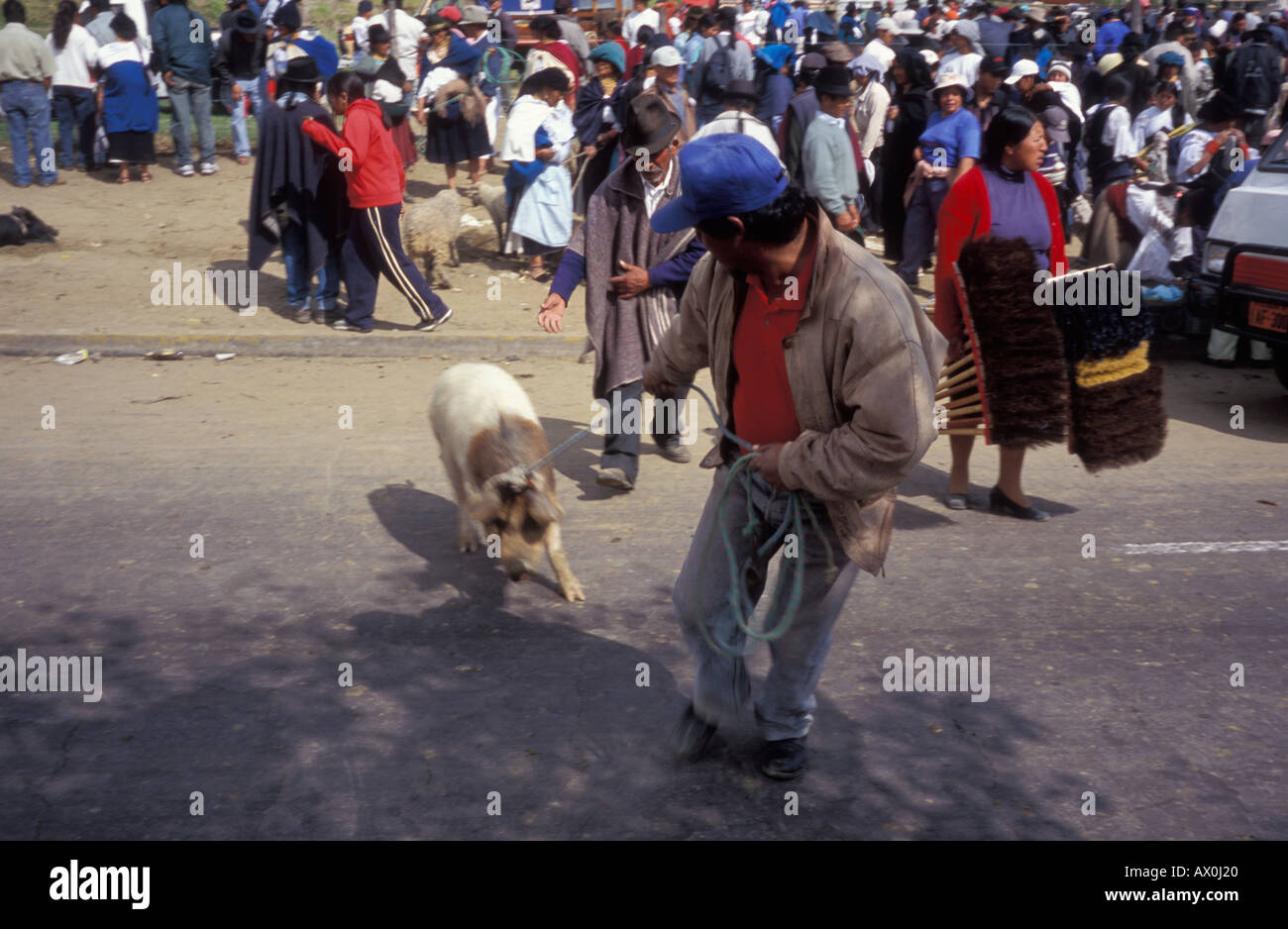 Man pulling his pig across the road and a woman with lots of brooms at ...