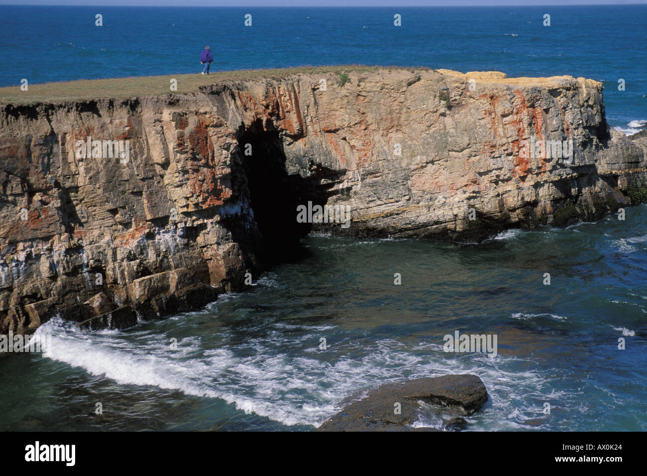 California, Point Arena, Coastal bluffs Stock Photo - Alamy