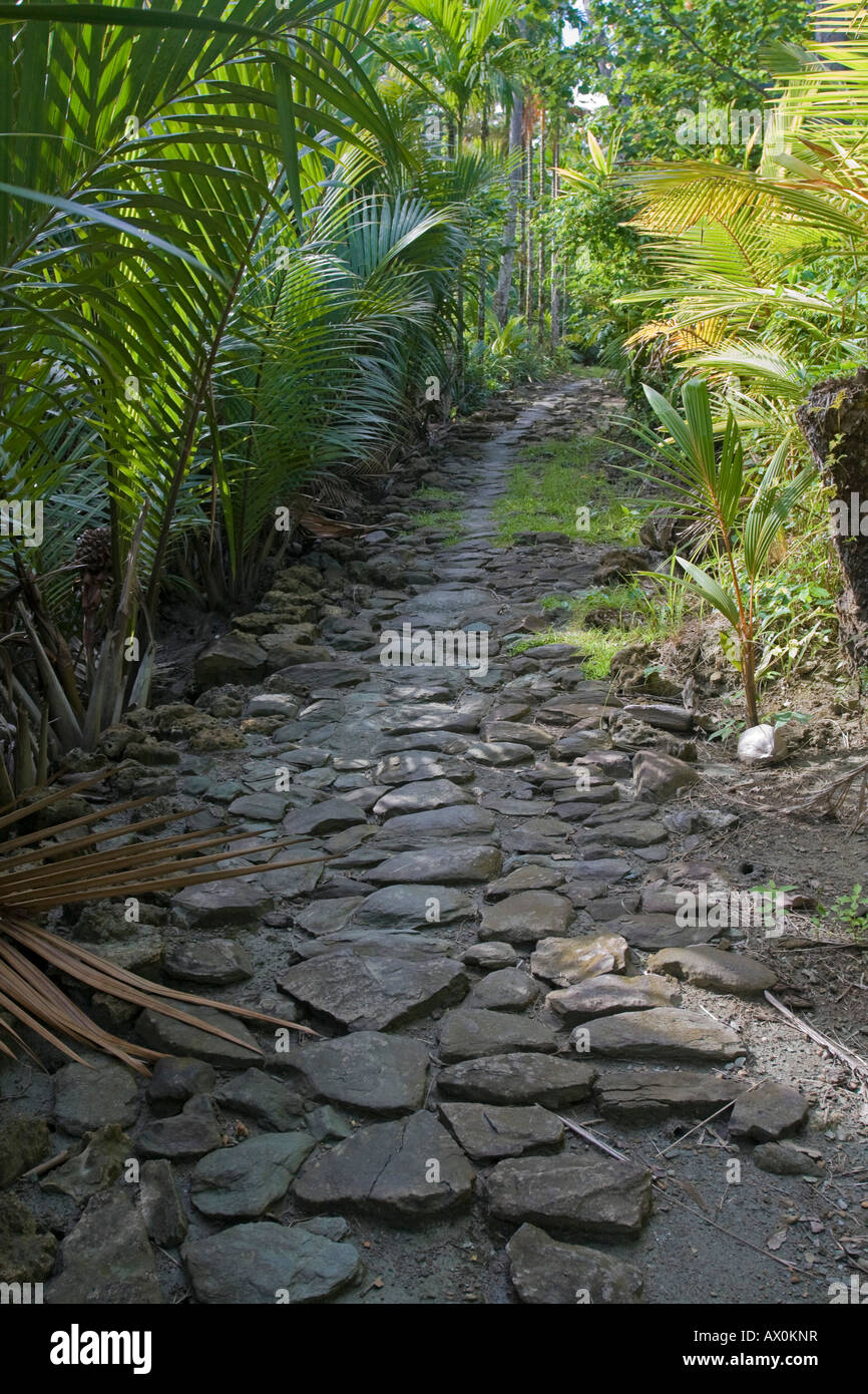 Traditional old Stone Path, Yap, Federated States of Micronesia Stock ...