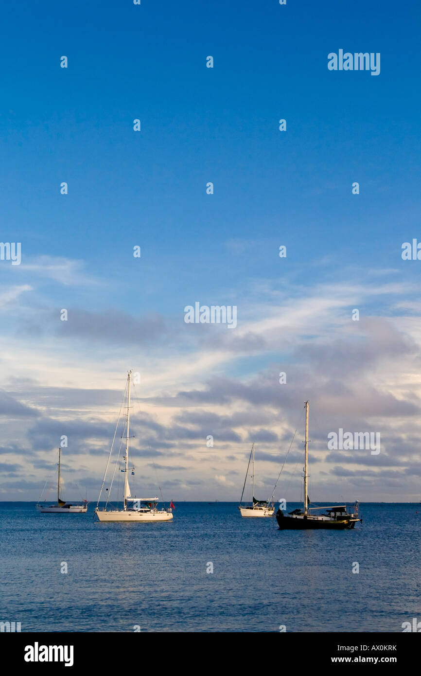 Tomil bay hi-res stock photography and images - Alamy