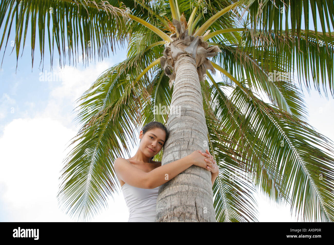 Young woman hugging palm tree, beach, Isla Mujeres, Cancun, Mexico. MR ...