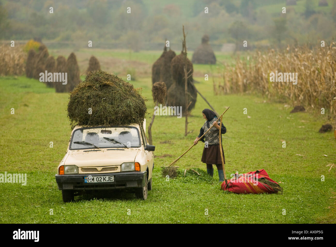 Romania, Maramures, Dacia car loaded with hay Stock Photo - Alamy