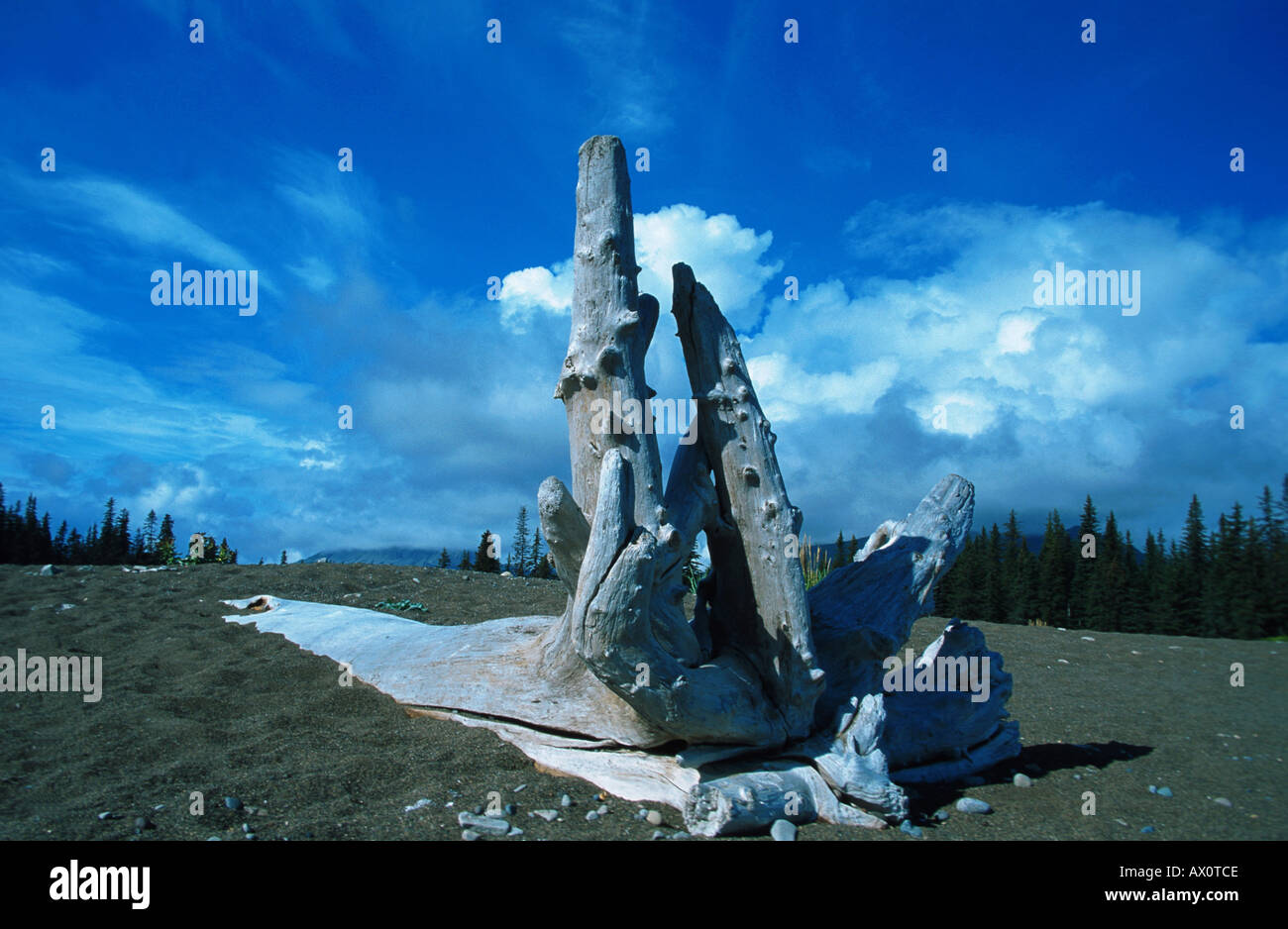 Alaska things to do hi-res stock photography and images - Alamy