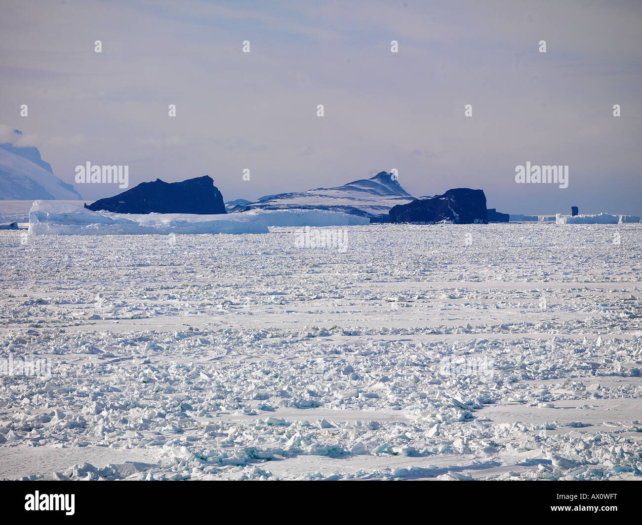 Cliffs ans icebergs off the coast of Franklin Island, Antarctica Stock ...