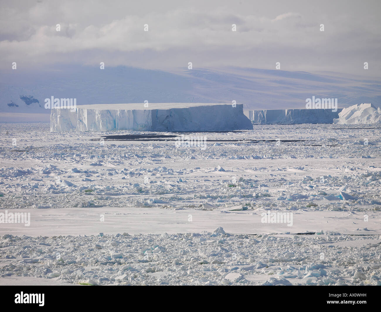 Icebergs off the coast of Franklin Island, Antarctica Stock Photo - Alamy