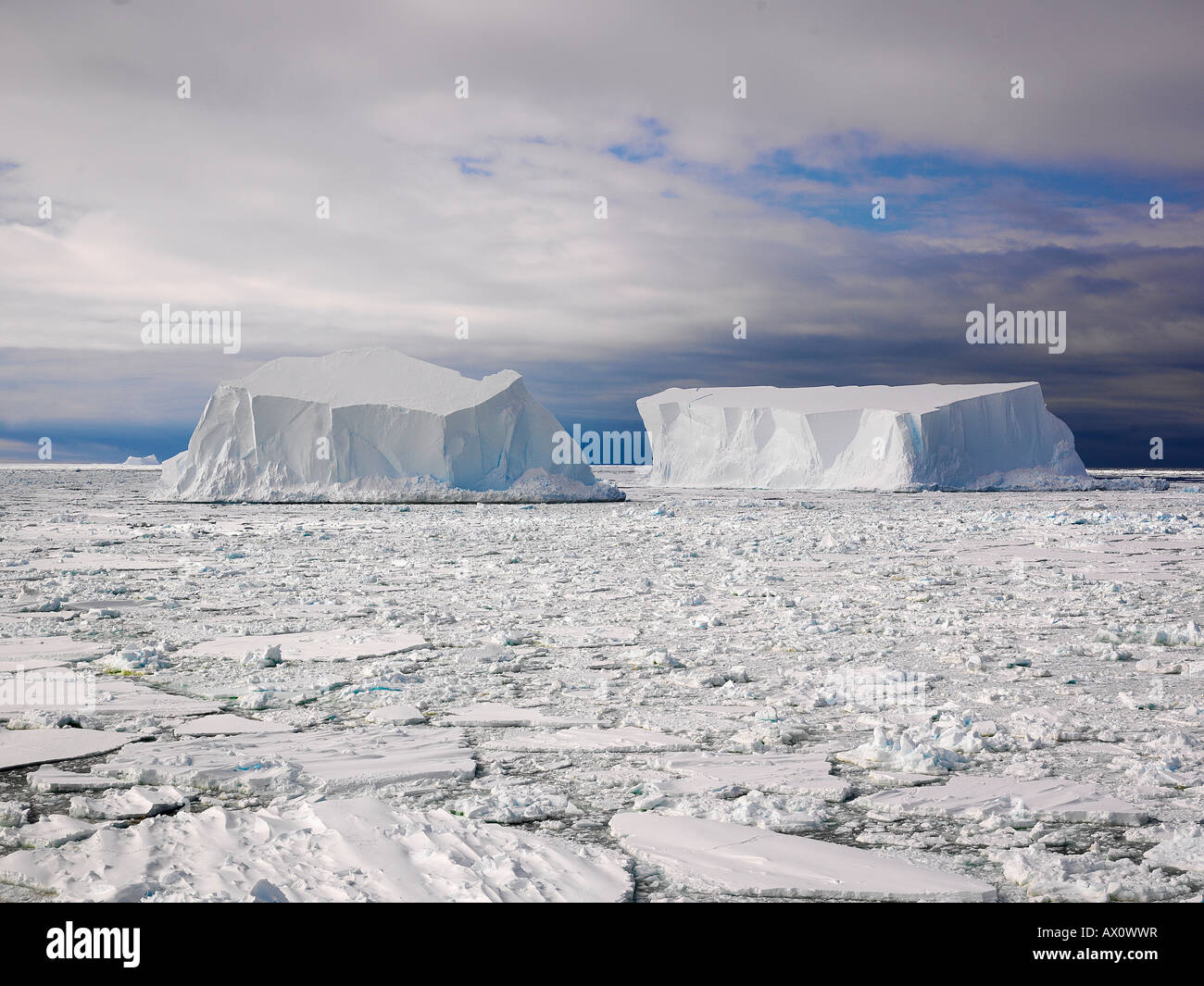 Franklin island antarctic hi-res stock photography and images - Alamy