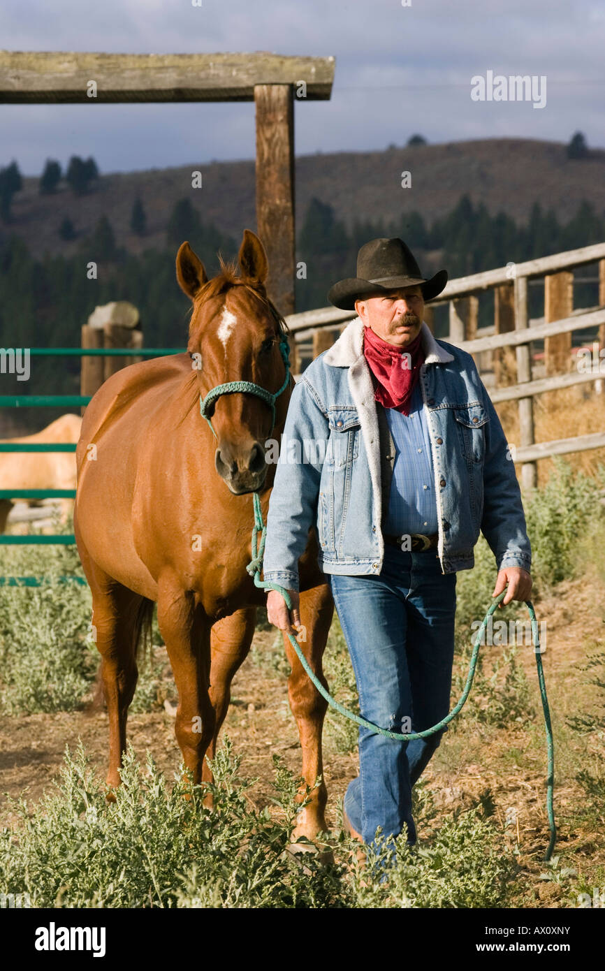 Cowboy with horse, wildwest, Oregon, USA Stock Photo - Alamy