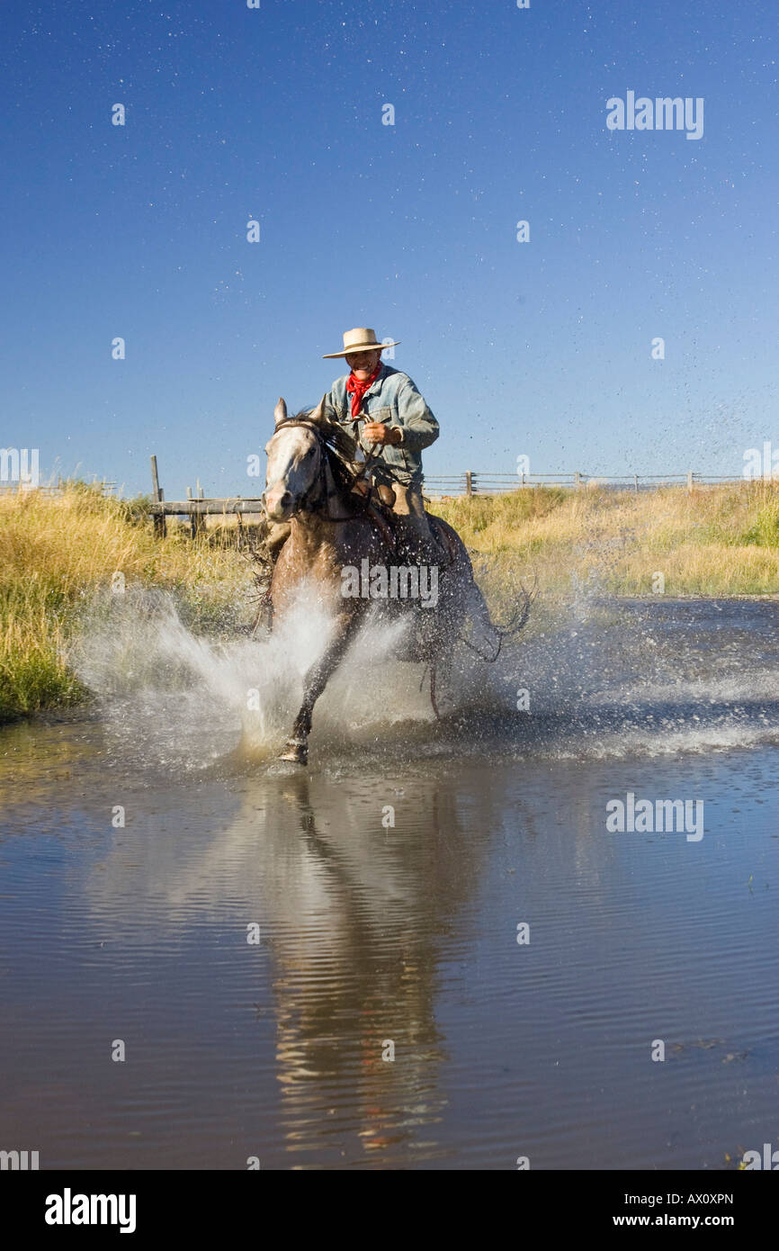 Cowboy riding, Oregon, USA Stock Photo - Alamy