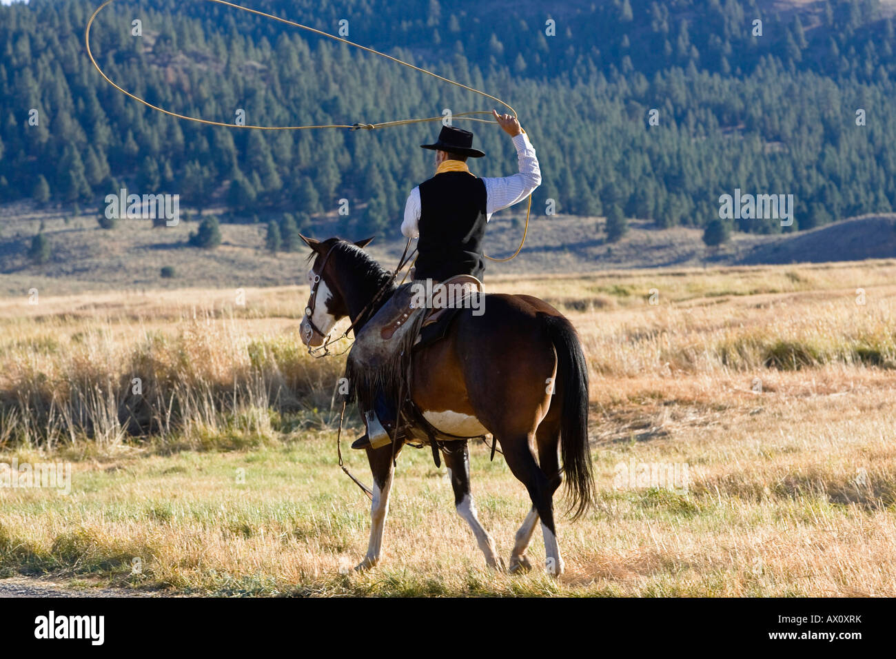 Cowboy throwing lasso hi-res stock photography and images - Alamy