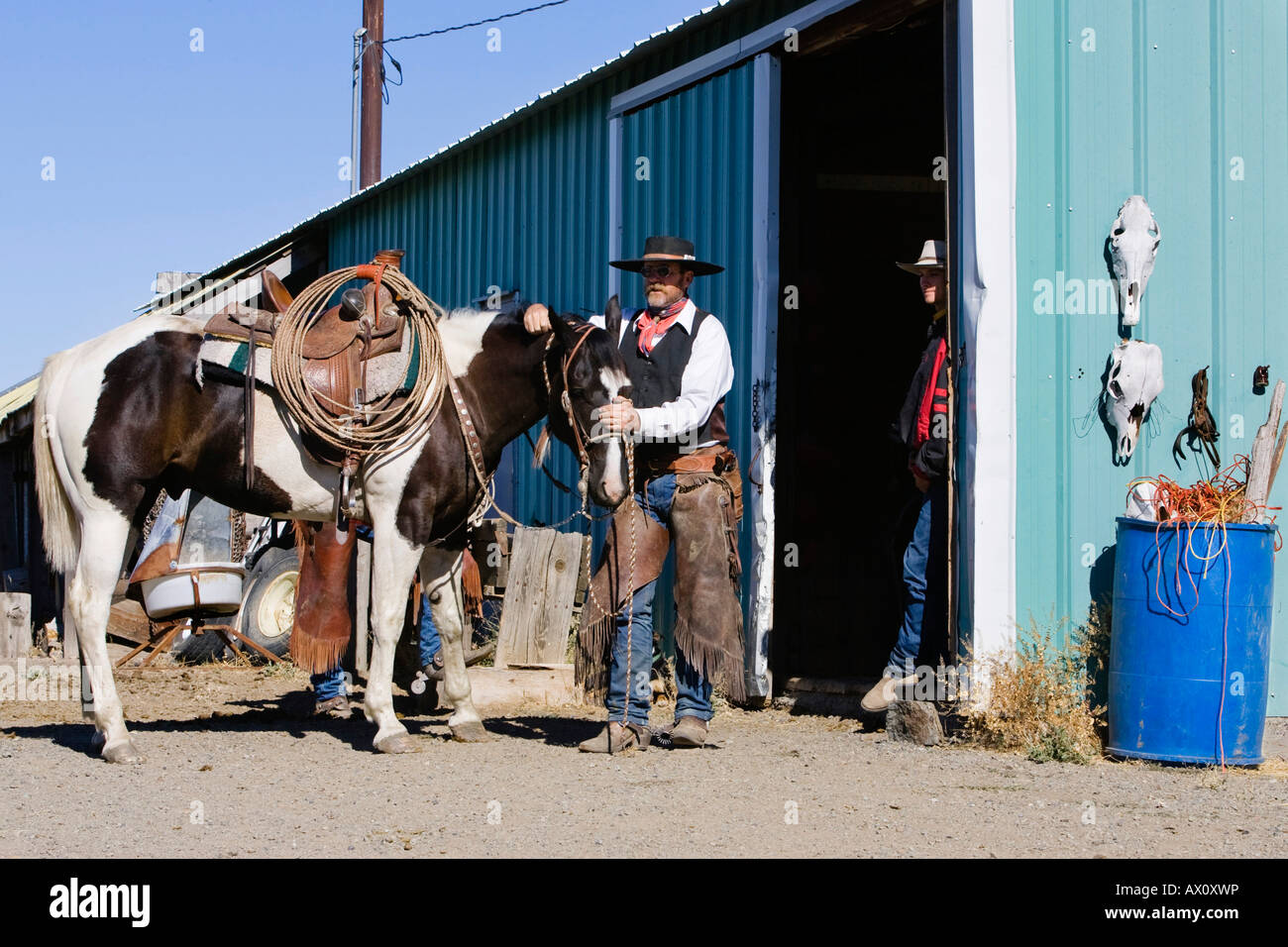 Cowboy with horse at stable, wildwest, Oregon, USA Stock Photo - Alamy