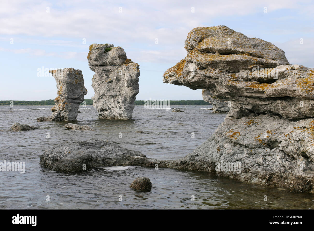 Limestone formations at Gamle Hamn on the island of Fårö, Gotland in ...