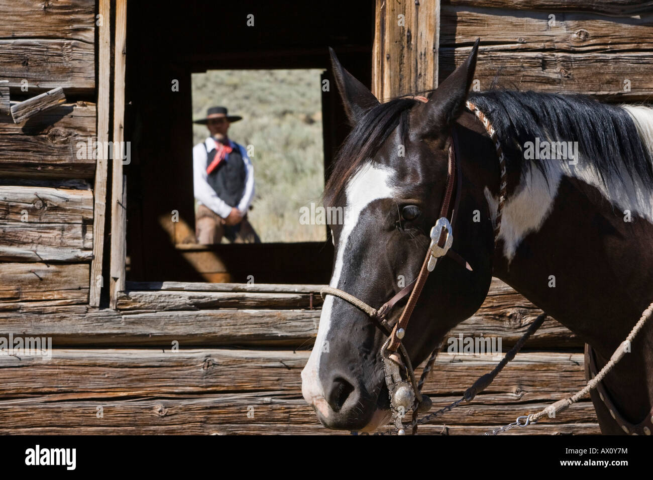 Cowboy in barn window, wildwest, Oregon, USA Stock Photo - Alamy