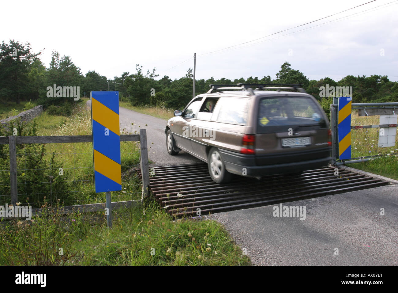 Cattle grid rails across the road to stop sheep from walking this way ...