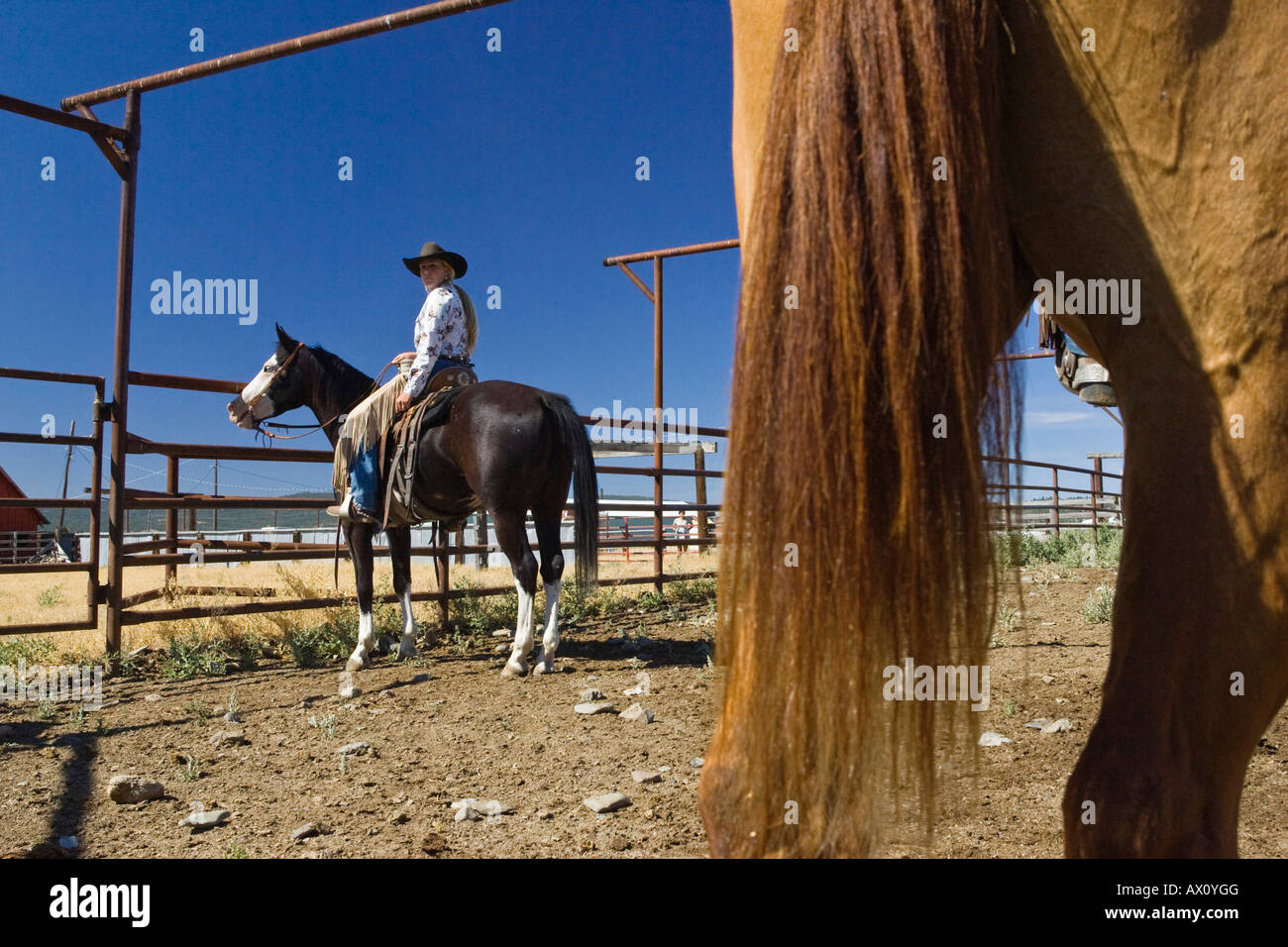 Fully working farm hi-res stock photography and images - Alamy