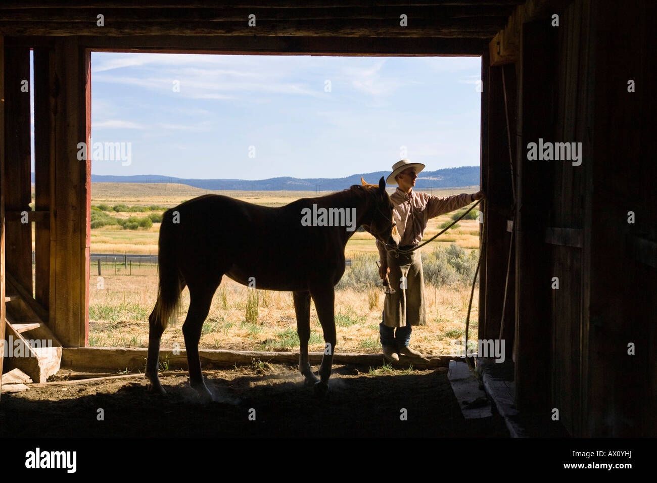 Cowboy with horse in stable, wildwest, Oregon, USA Stock Photo - Alamy