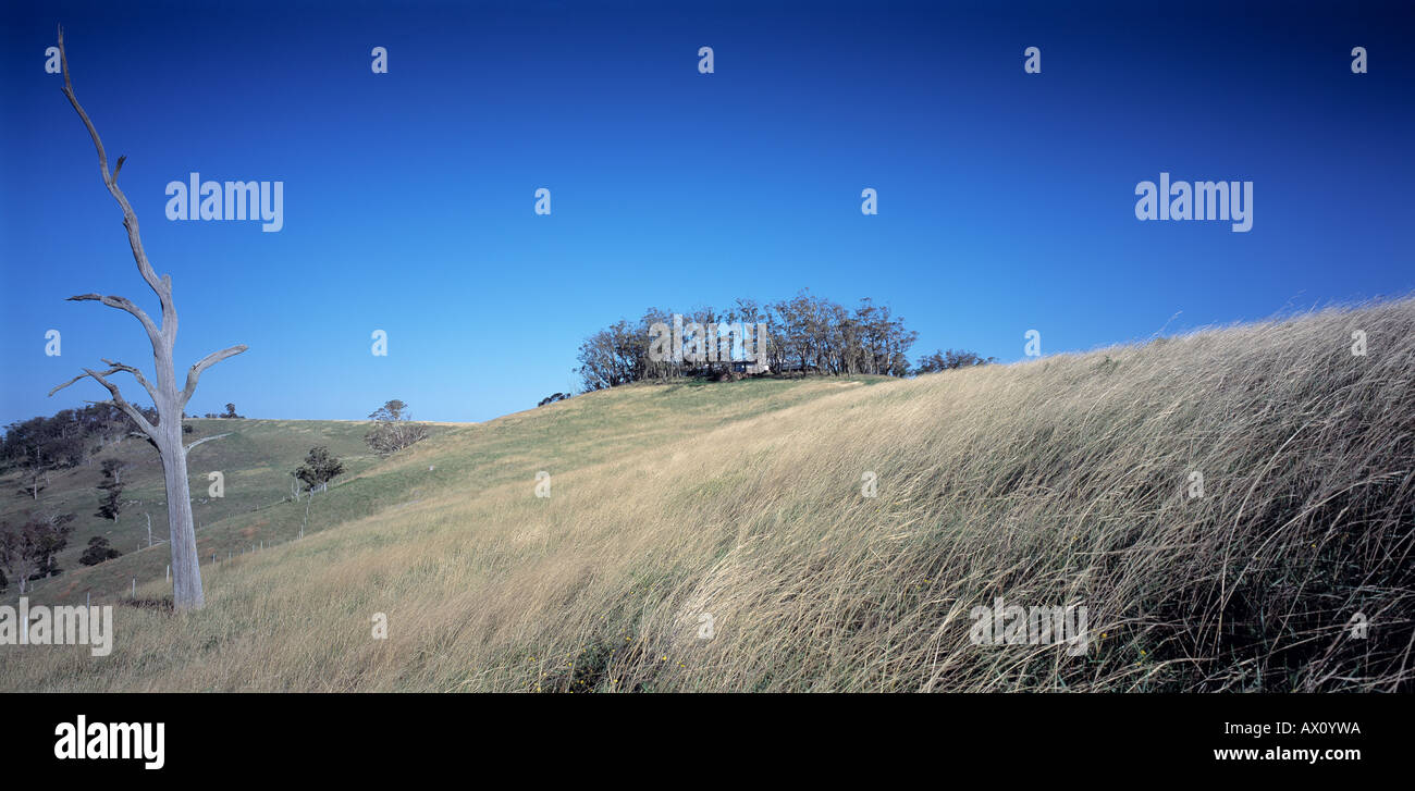 Mittagong australia hi-res stock photography and images - Alamy