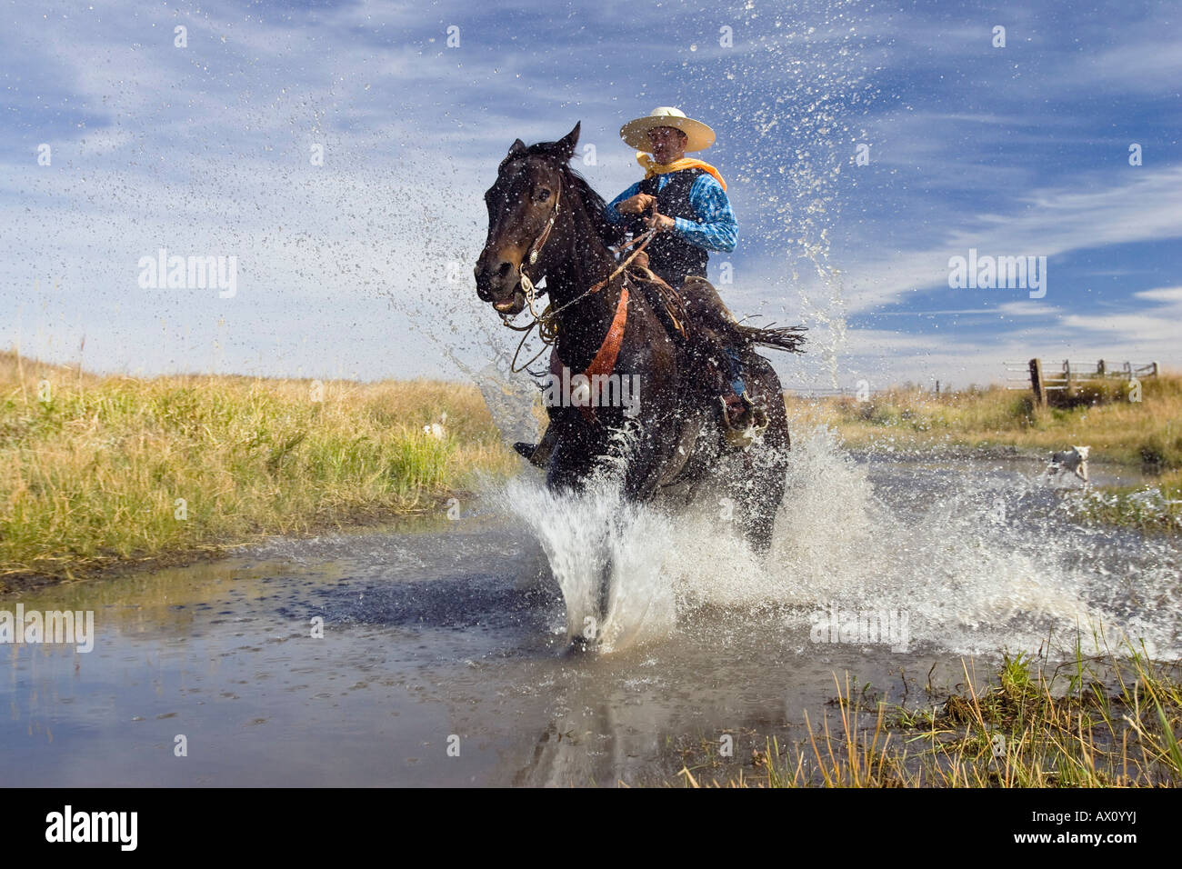 Cowboy riding in water, wildwest, Oregon, USA Stock Photo - Alamy