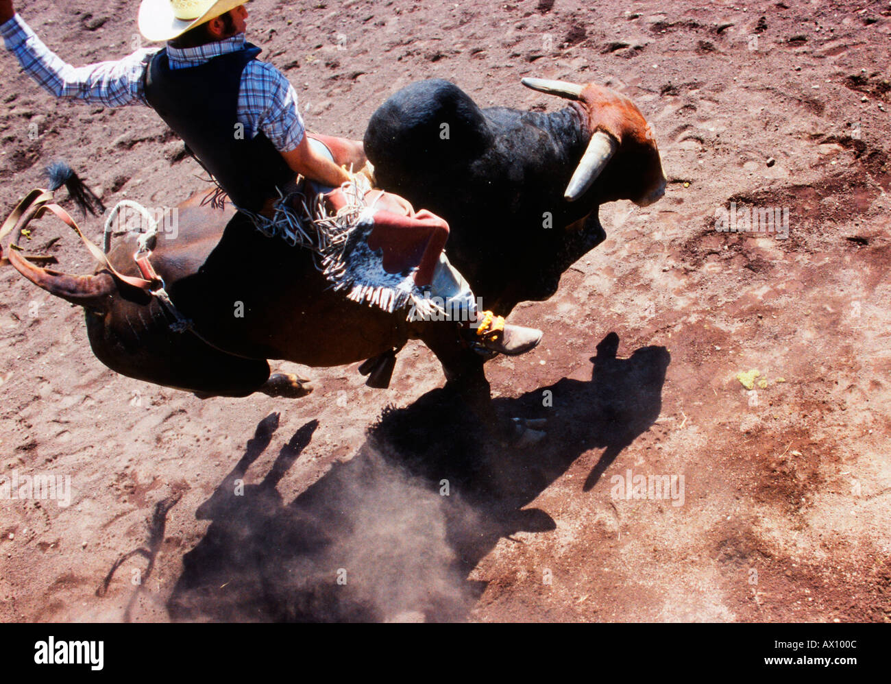 Bullrider hi-res stock photography and images - Alamy
