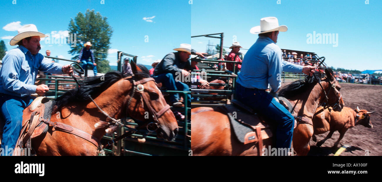 The chase sequence hi-res stock photography and images - Alamy