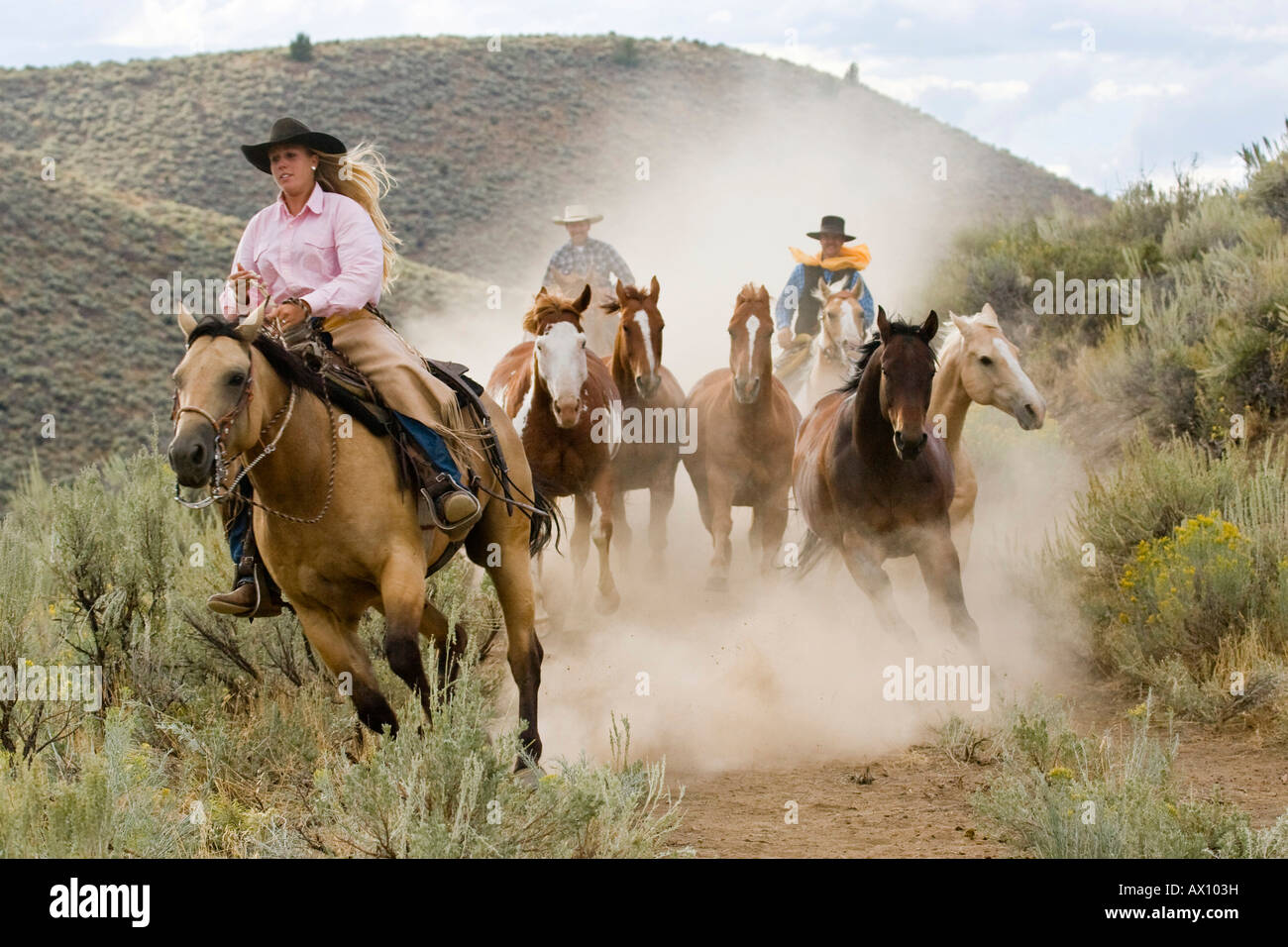 Cowgirl and cowboy with horses, Oregon, USA Stock Photo - Alamy
