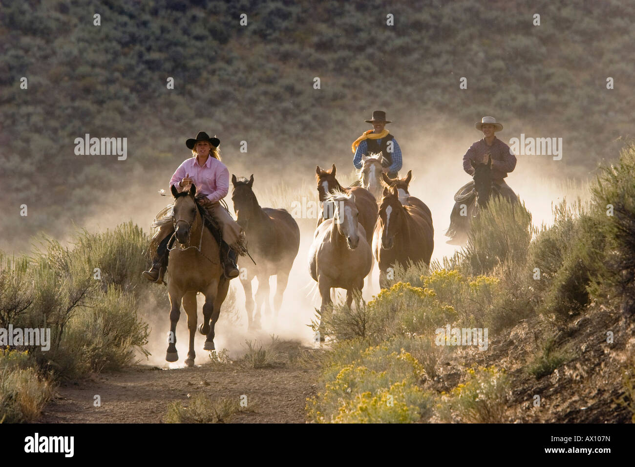 Cowgirl and cowboys riding, Oregon, USA Stock Photo - Alamy