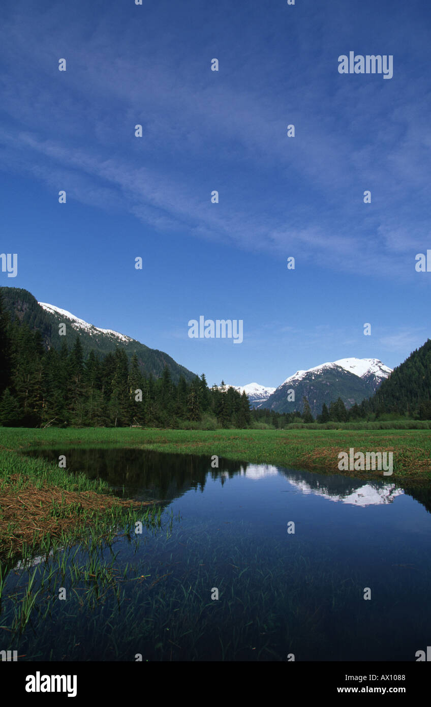 Canada British Columbia Khutzeymateen Inlet estuary at high tide Stock ...