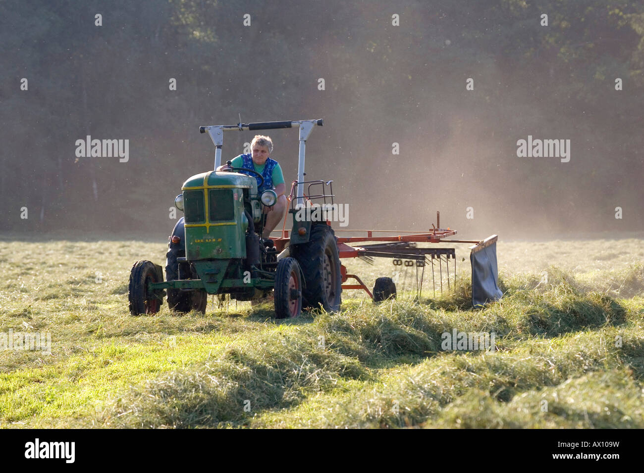 Farmer making hay, Upper Bavaria, Germany Stock Photo - Alamy