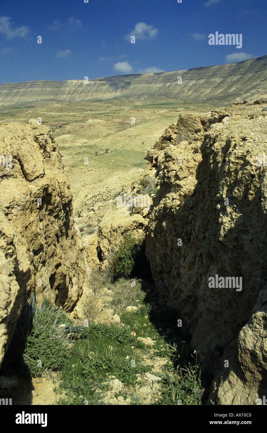 Jordan Between Tafila And Kerak The Desert Stock Photo - Alamy