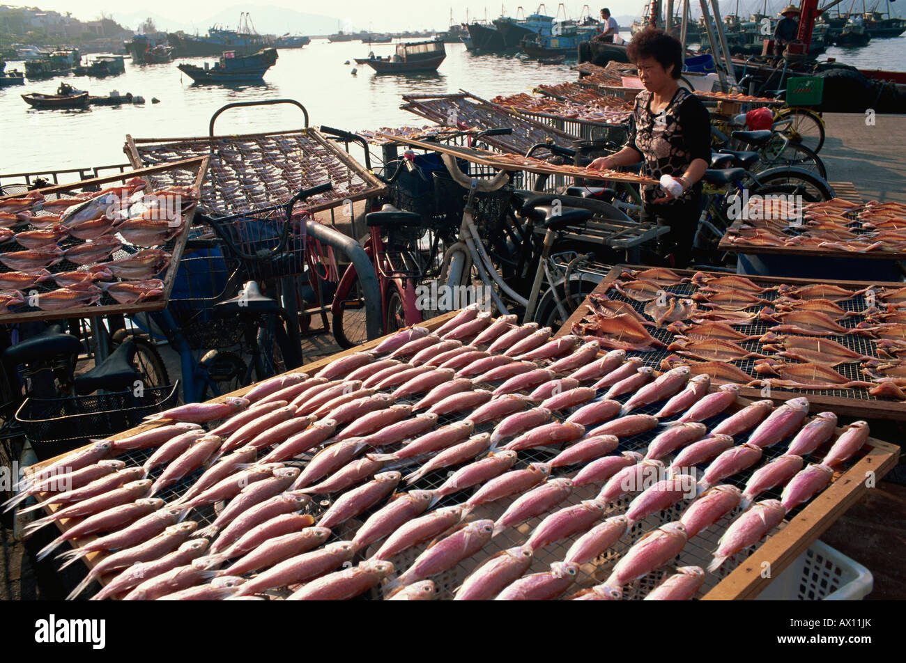 China, Hong Kong, Cheung Chau Island, Drying Fish Stock Photo - Alamy