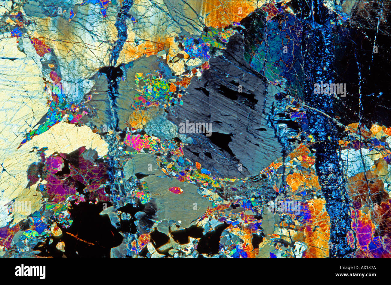 Rock thin section showing minerals hi-res stock photography and images ...