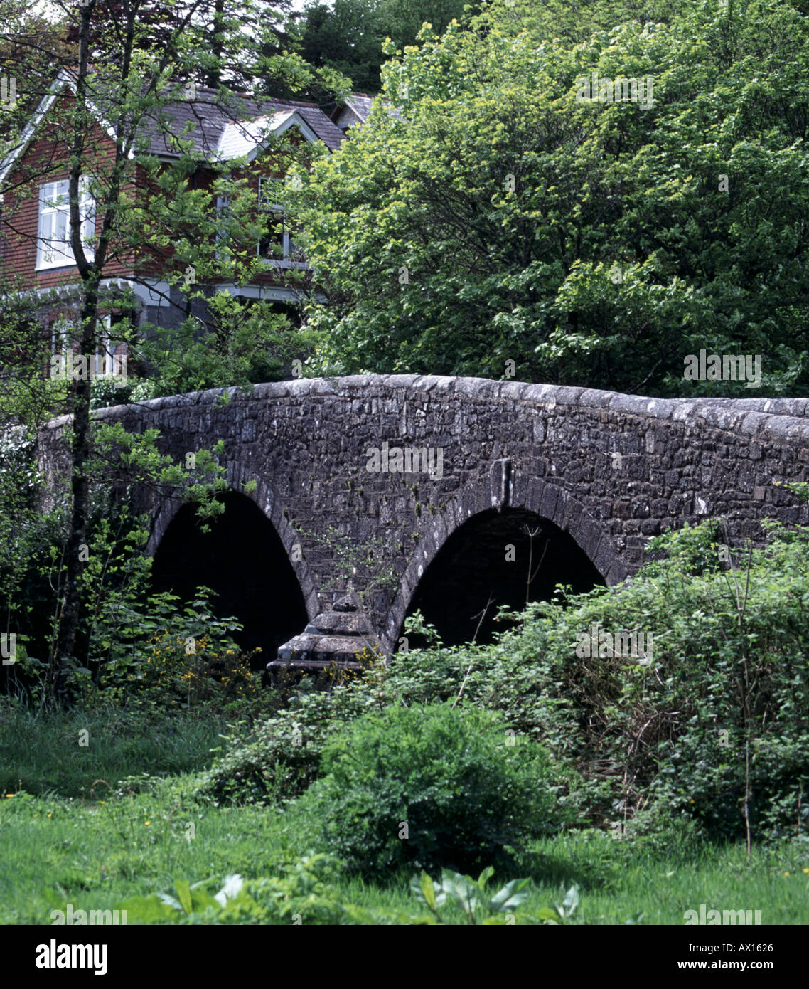 Arched bridge River Dart Dartmoor Devon England Stock Photo - Alamy