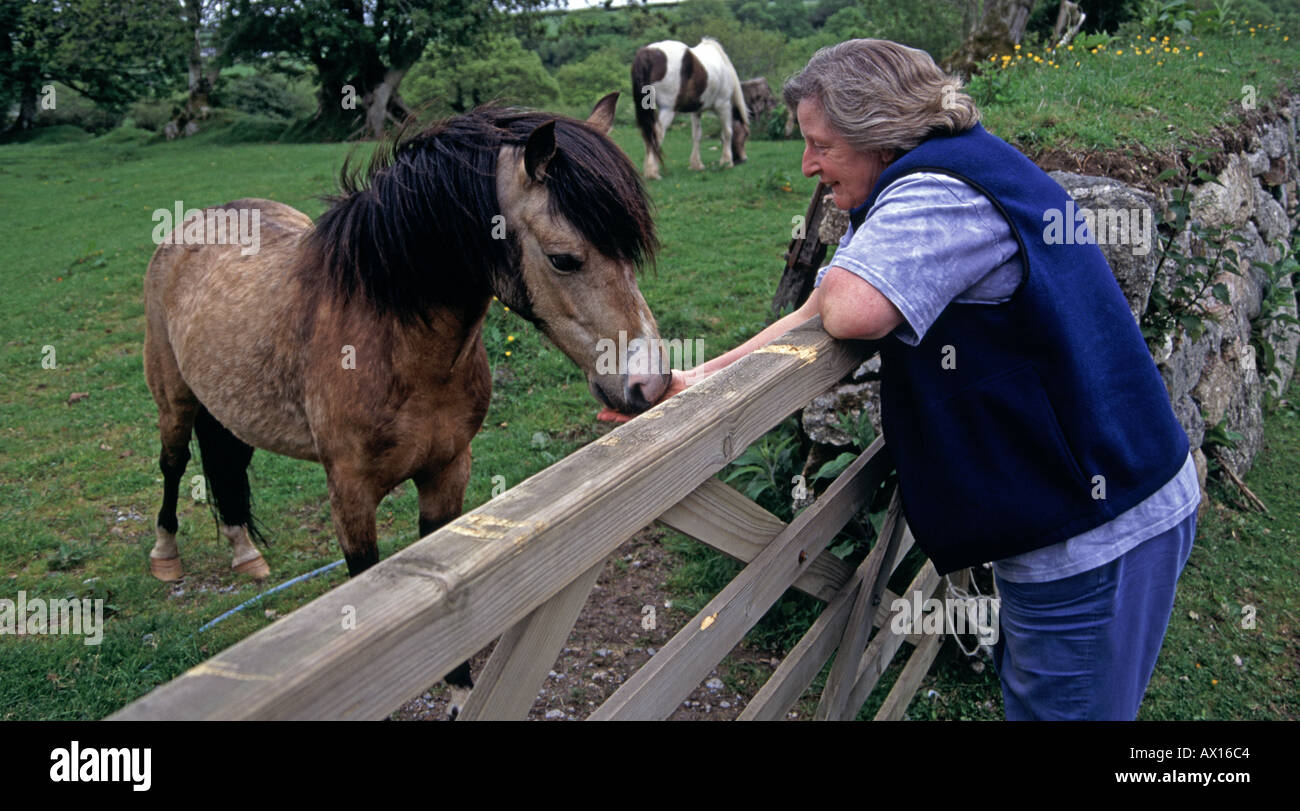 Pony gate hi-res stock photography and images - Alamy