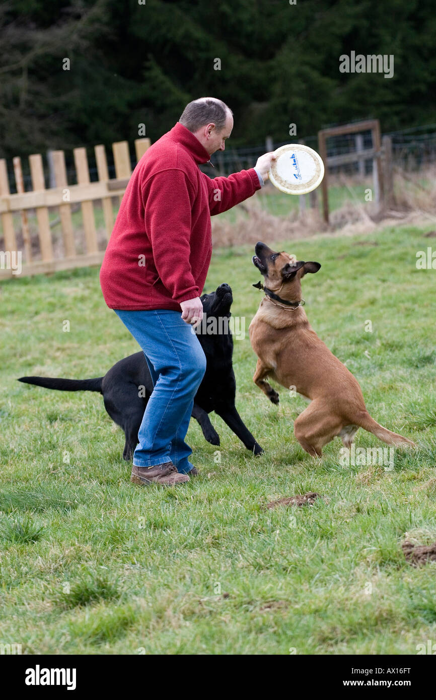 Two dogs jumping man hi-res stock photography and images - Alamy