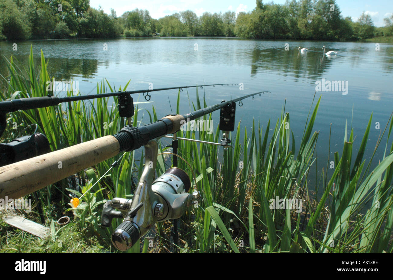 Angling at Great Witchingham charity Lakes Norfolk UK Stock Photo - Alamy