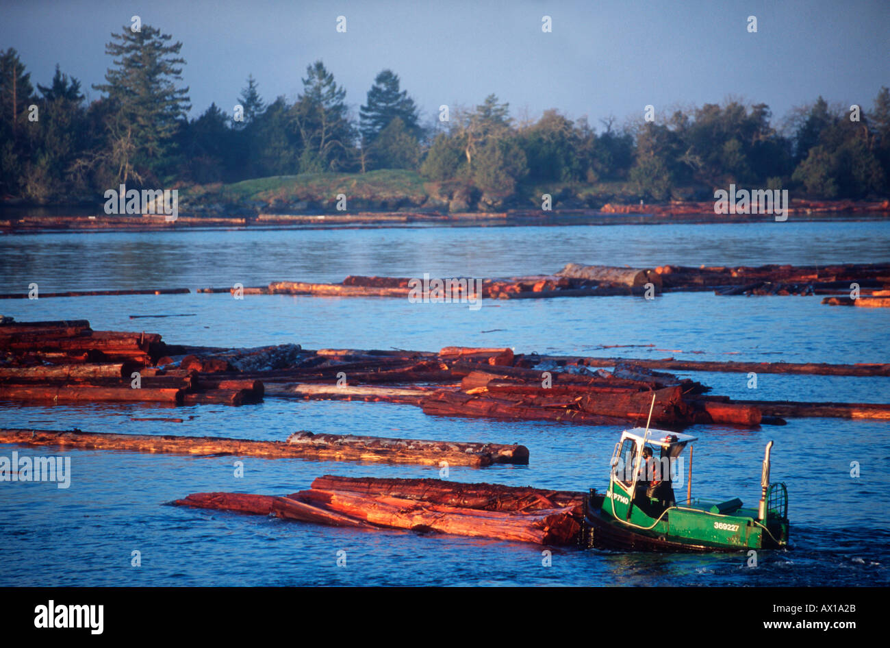 Canada British Columbia Ladysmith Logging booms in sea booming boats ...