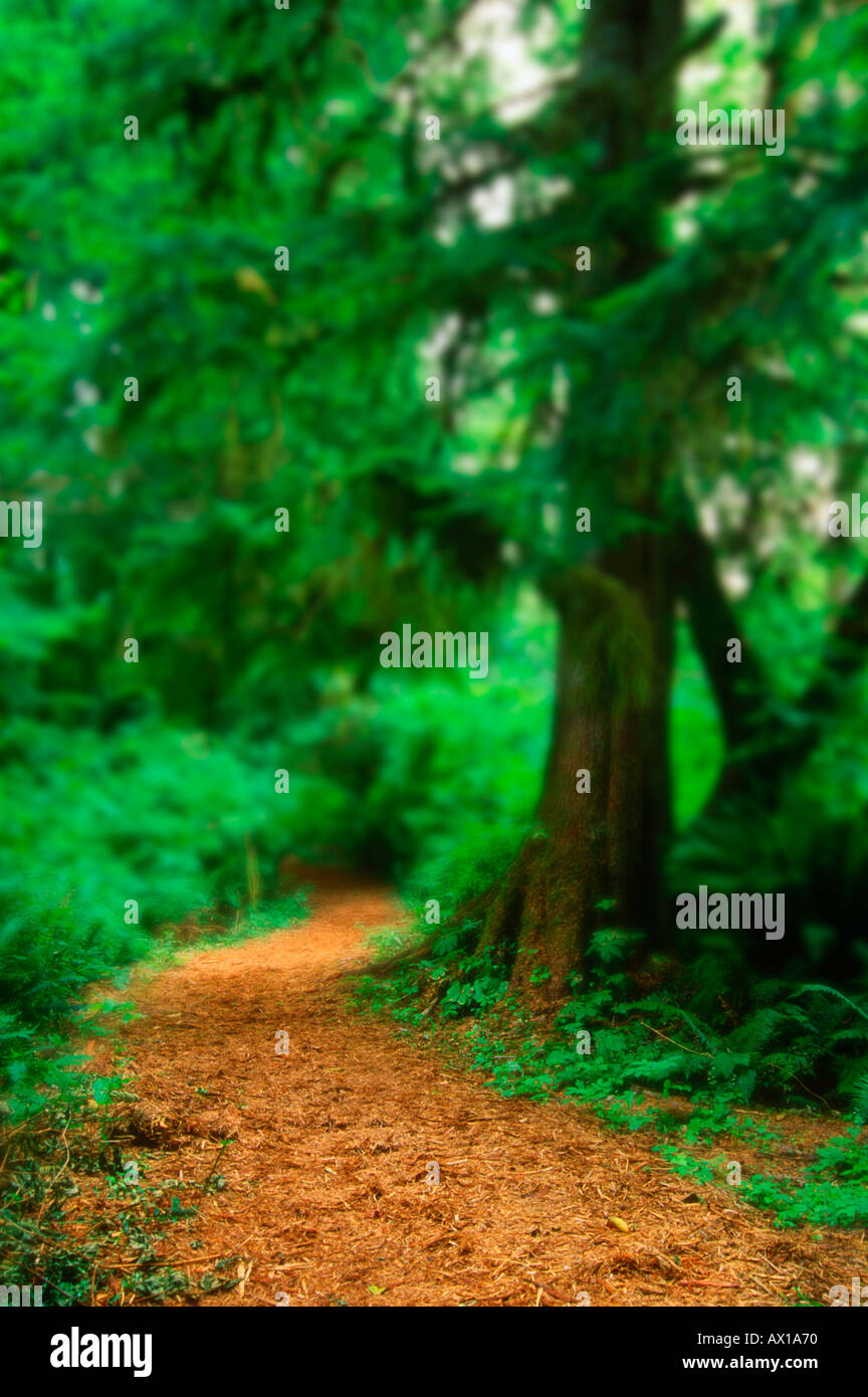Quatse river trail hi-res stock photography and images - Alamy