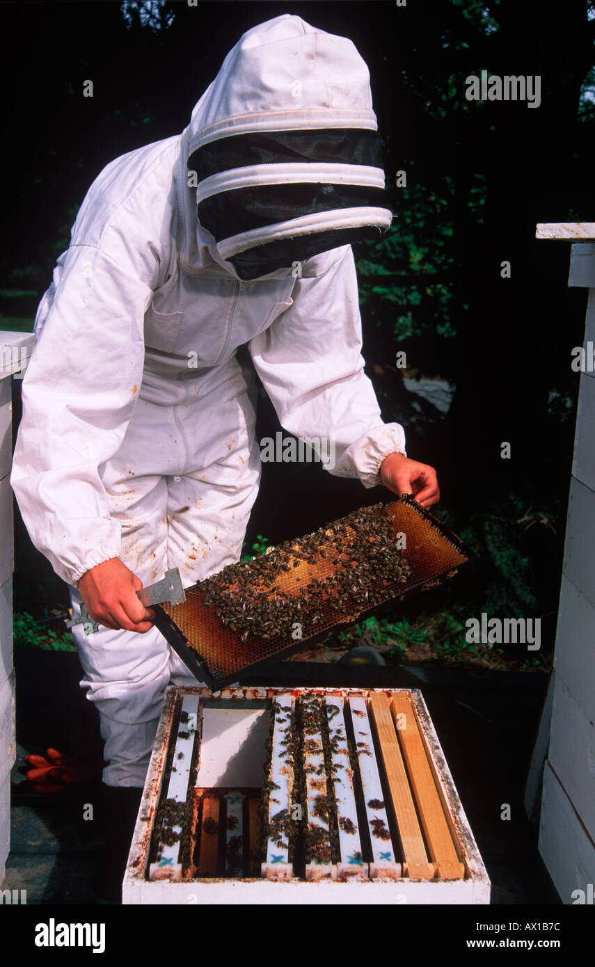 Canada British Columbia Vancouver Island Sooke harbour House apiary on ...