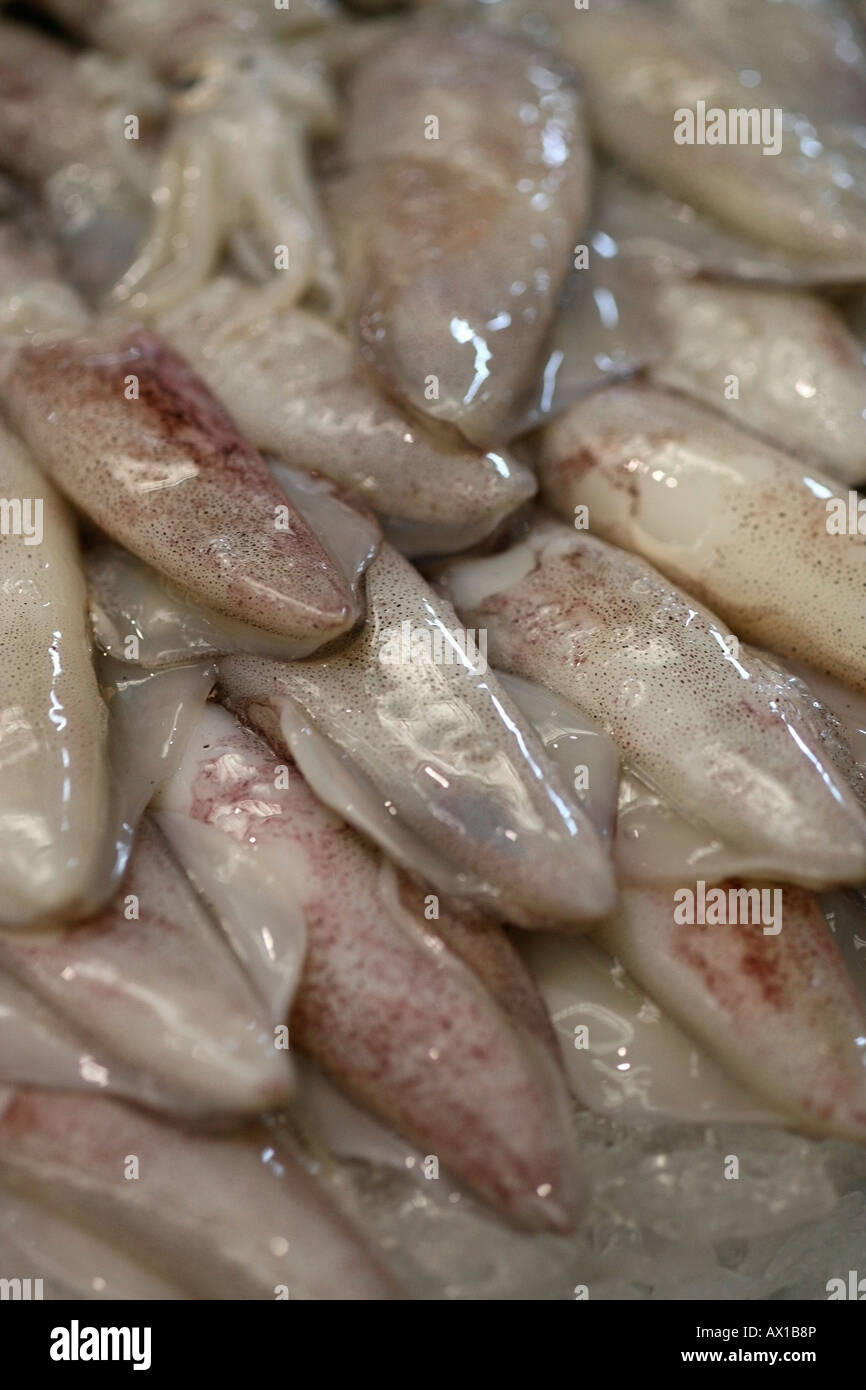 Group of squid hi-res stock photography and images - Alamy