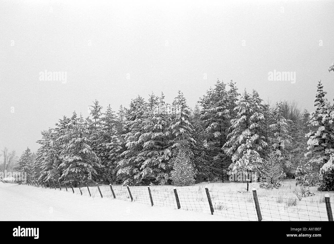 Dreary winter Black and White Stock Photos & Images - Alamy