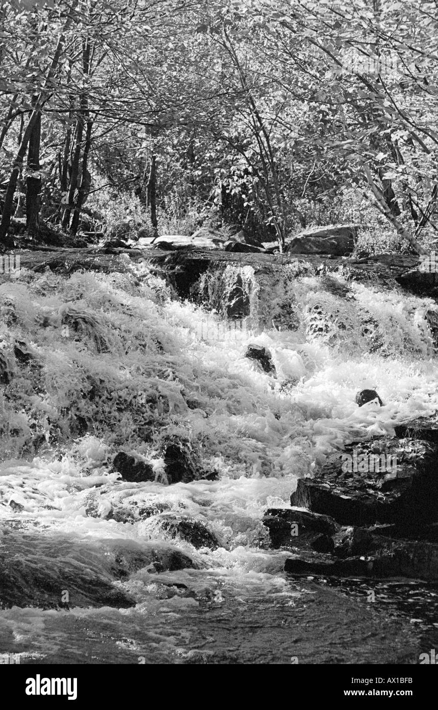 Small in landscape Black and White Stock Photos & Images - Alamy