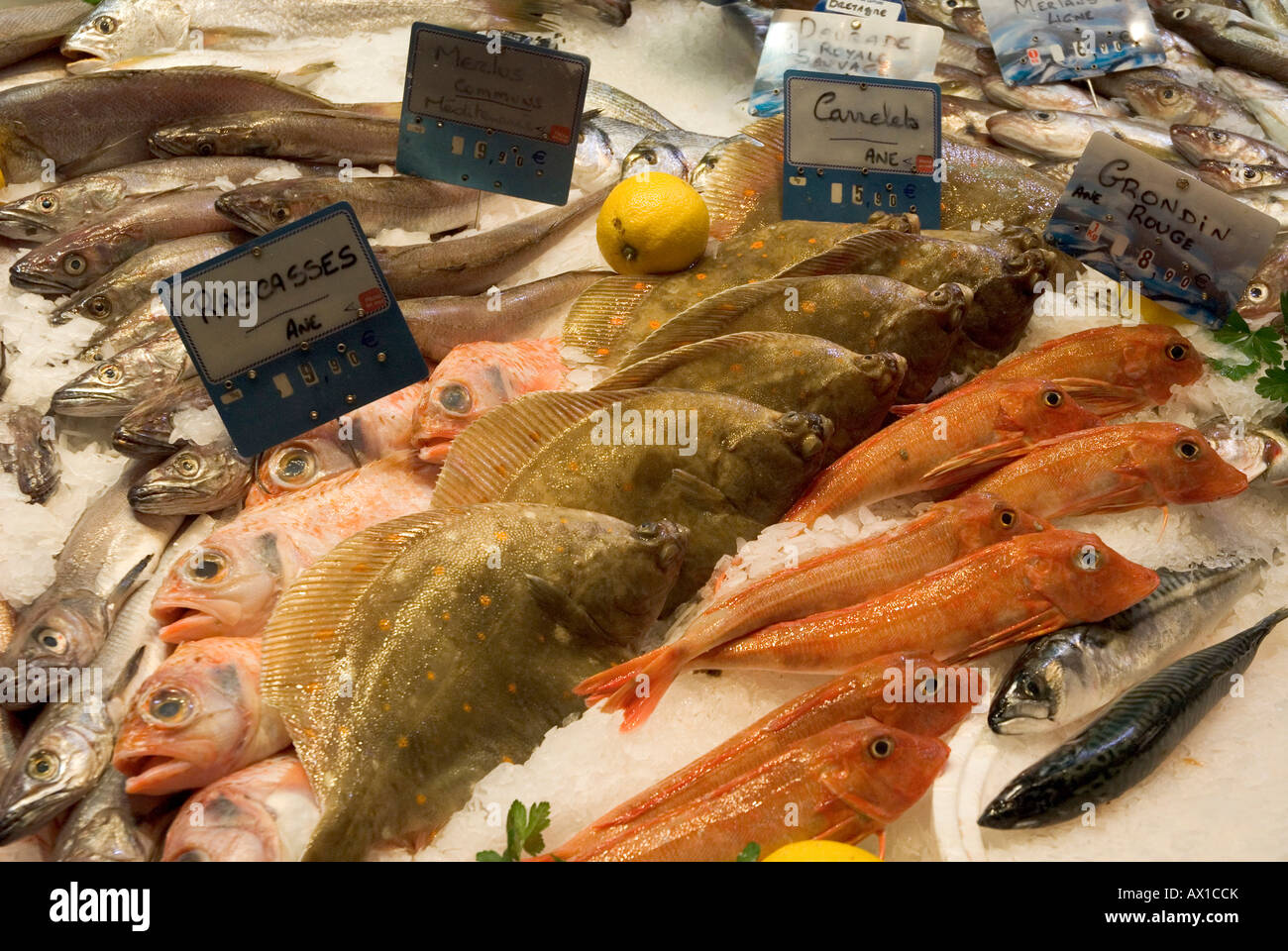 Fisch stand hi-res stock photography and images - Alamy